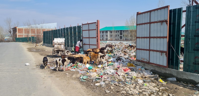 Garbage crisis: Pulwama residents suffer as solid waste management ...
