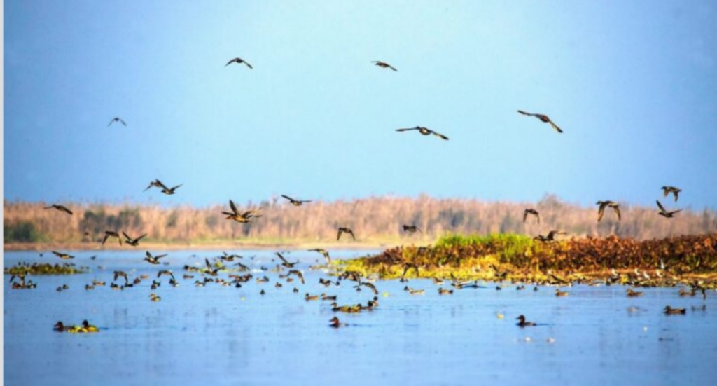 Changing weather patterns | KNO